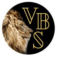 Blog – Catholic Chronicles VBS